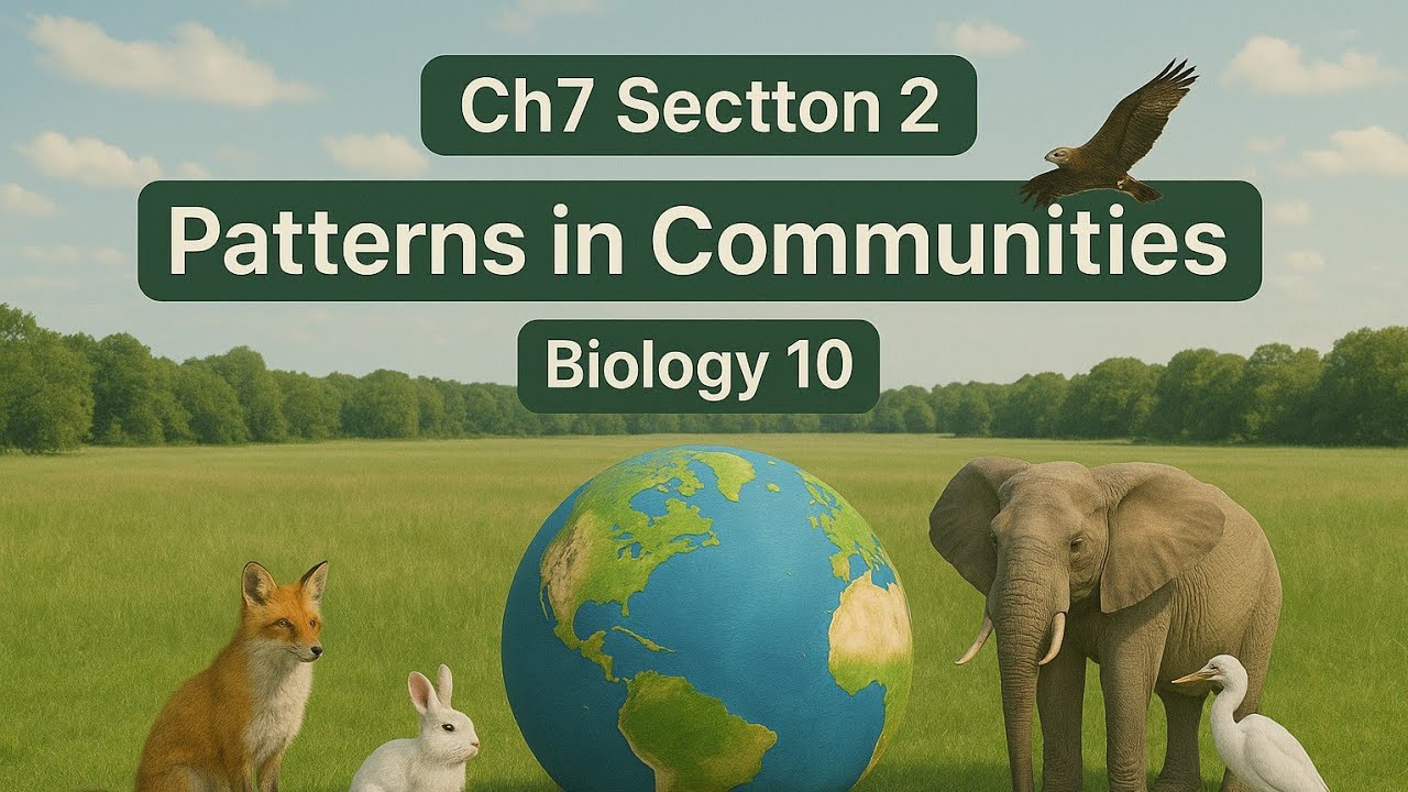 Biology 10( chapter 7-2) patterns in communities - YouTube