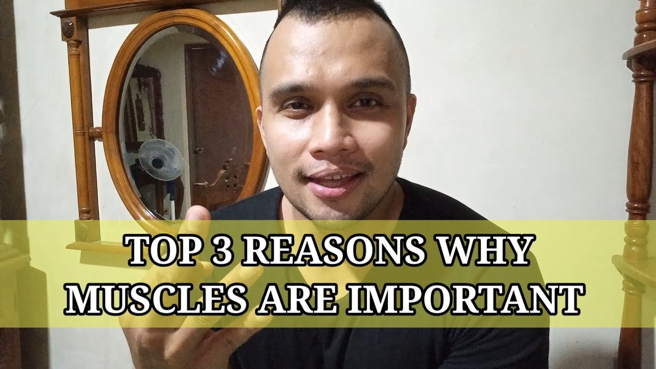 Top 3 Reasons Why Muscles Are Important - YouTube