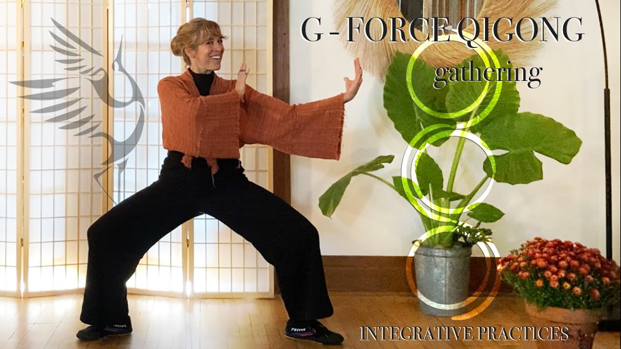G-FORCE QIGONG GATHERING - YouTube