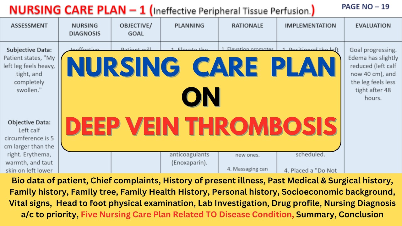 Nursing Care Plan On Deep Vain Thrombosis | NCP on DVT | DVT Nursing ...