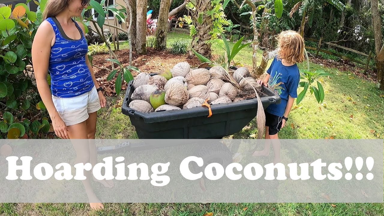 Prepping for The End Of The World by Hoarding Coconuts!!! - YouTube