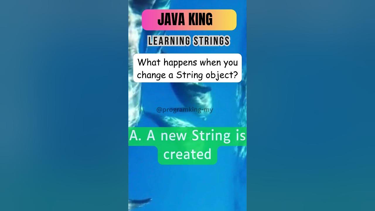 Can You Solve This 40 Java Quiz Codingchallenges Programming Javatutorial Javariddles