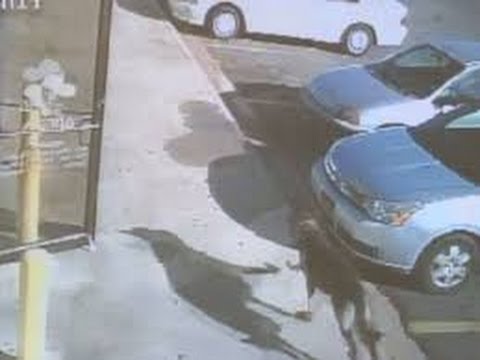 BLIND WOMAN DRIVING A CAR!! WHAT!?! VLOG #15 - YouTube