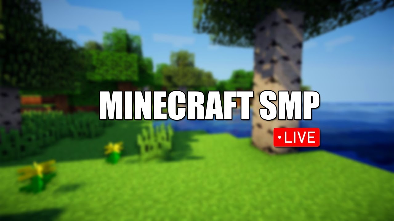 🔴Community SMP *Live*🔴 - YouTube