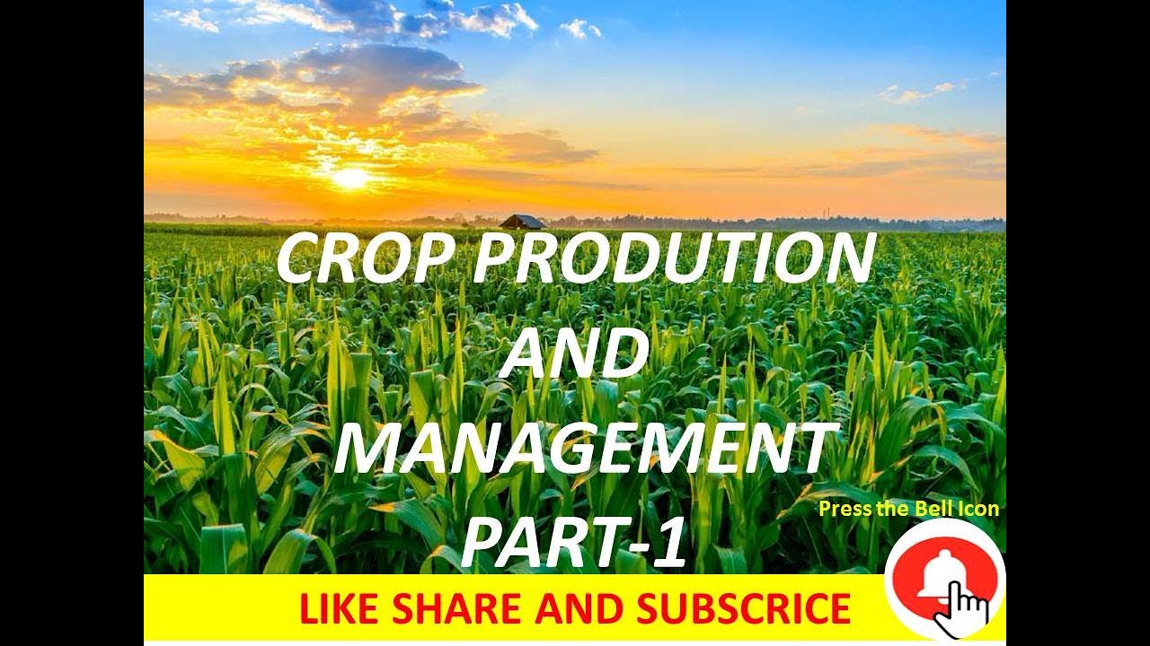 What Is Crop Production YouTube what-is-crop-production-youtube