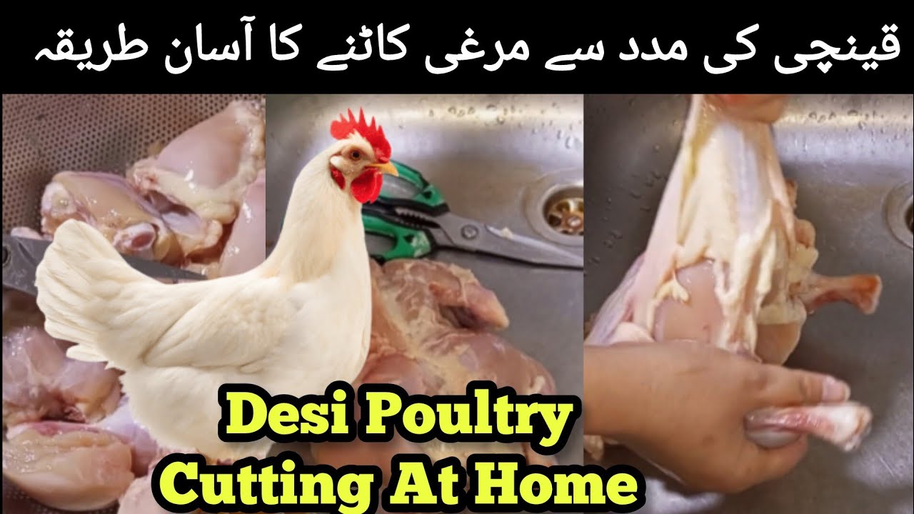 Chicken Cutting With Scissors | How To Cut Whole Chicken | Fast Chicken ...