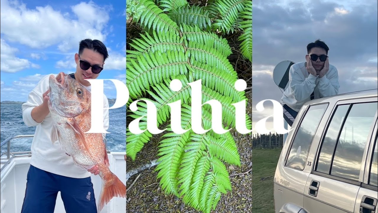 Paihia, New Zealand 🇳🇿|| Beach, Fishing, Walking, Cooking Fish - YouTube