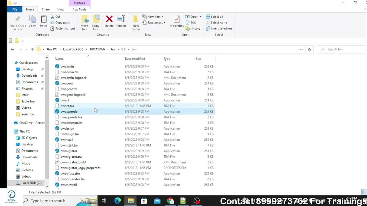 TIBCO BusinessWorks 6.x Tutorial | TIBCO BW 6 EMS Drivers Installation ...