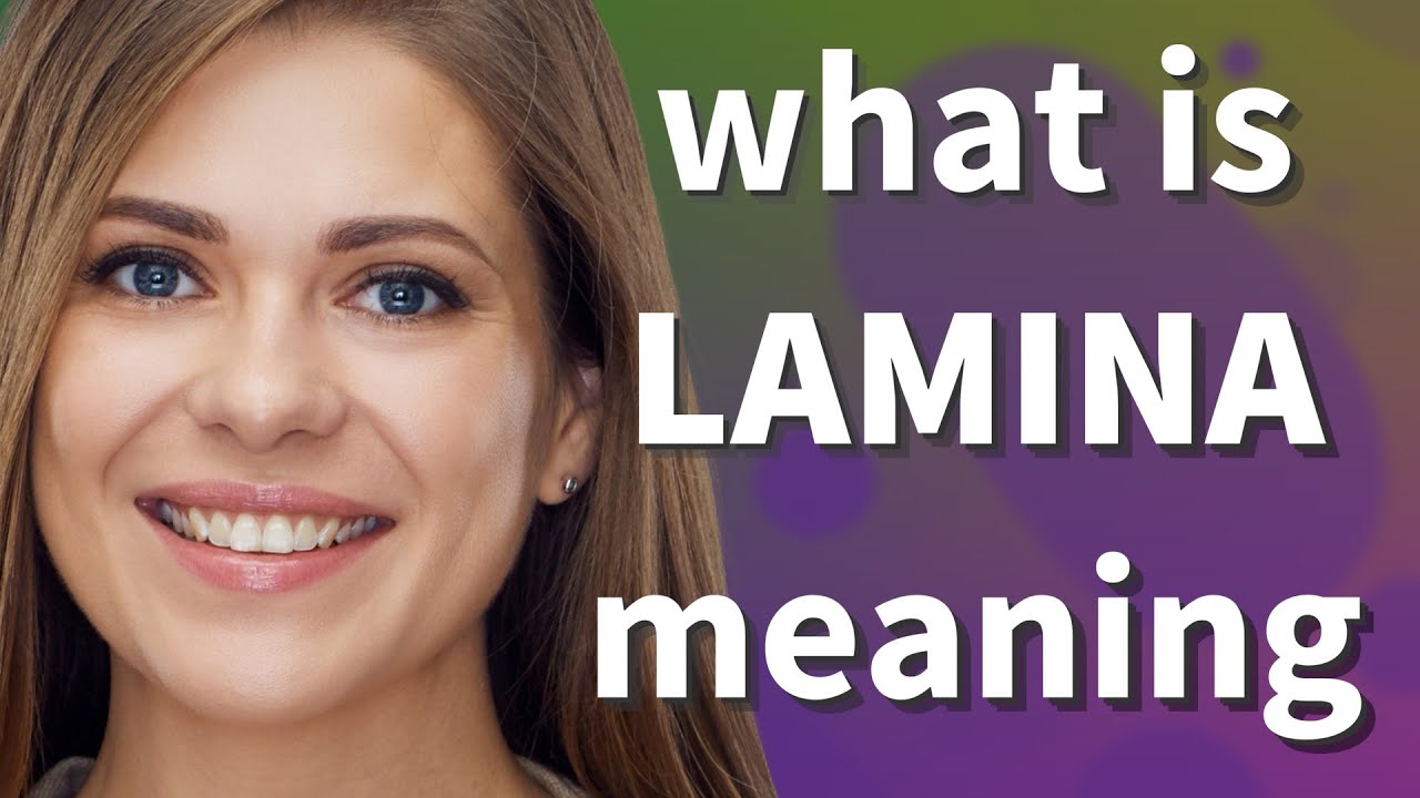 Lamina | meaning of Lamina - YouTube