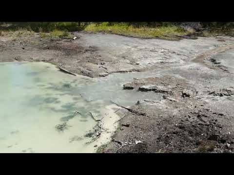 Frying Pan Spring - Yellowstone (just north of Norris) - YouTube