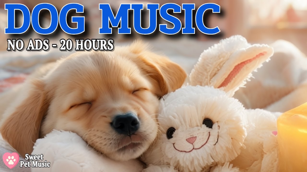 20 Hours of Calming Music for Dogs🦮💖Ultimate Dog Relaxation Music🎵⭐ ...