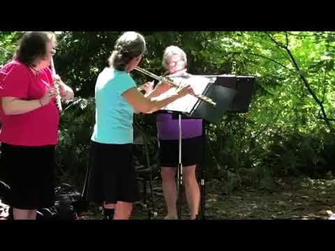Flutes in the Forest - YouTube