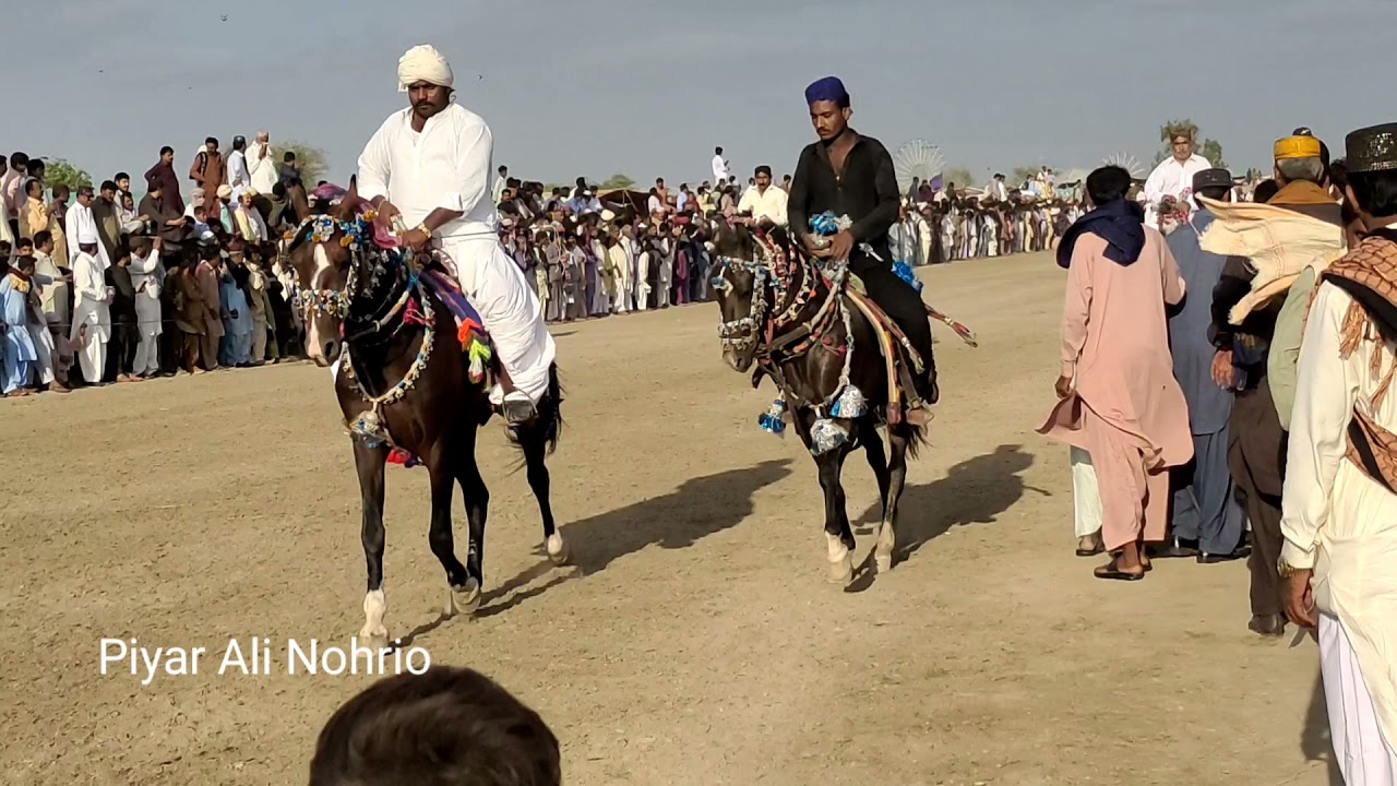 Horse Race in Sindh Pakistan - YouTube