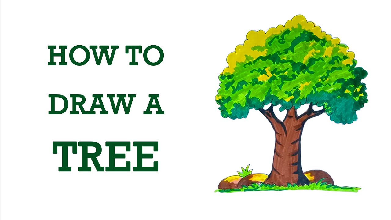 How To Draw A Tree Easy | How Can I Draw A Tree | Tree Drawing | Tree ...