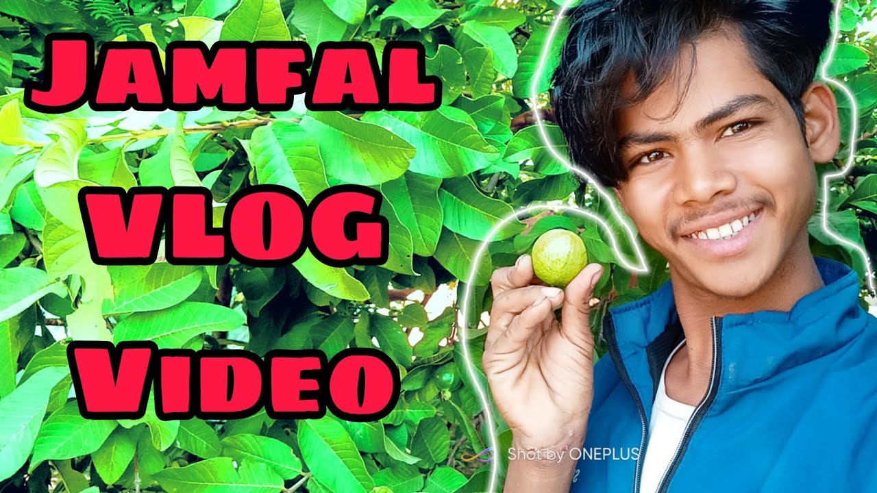 JAMNA KE JAAMFAL_VLOG_VIDEO CHANDERI(MR.VISHAL KUMAR SAHARIYA vlog ...