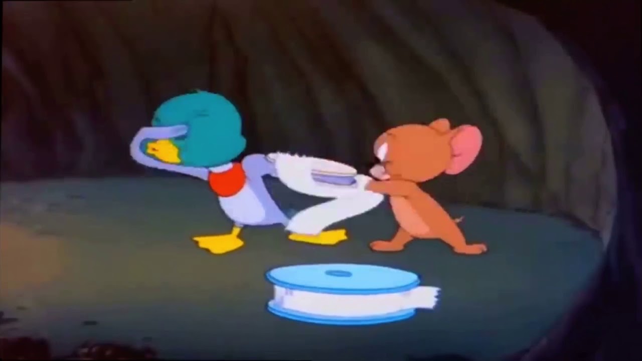 Tom and jerry- the duck-Tom and jerry cartoons - YouTube