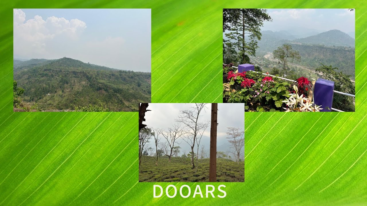 Dooars|Dooars Tour|Dooars Tour Plan|Dooars Tourist Spot|Dooars Films ...