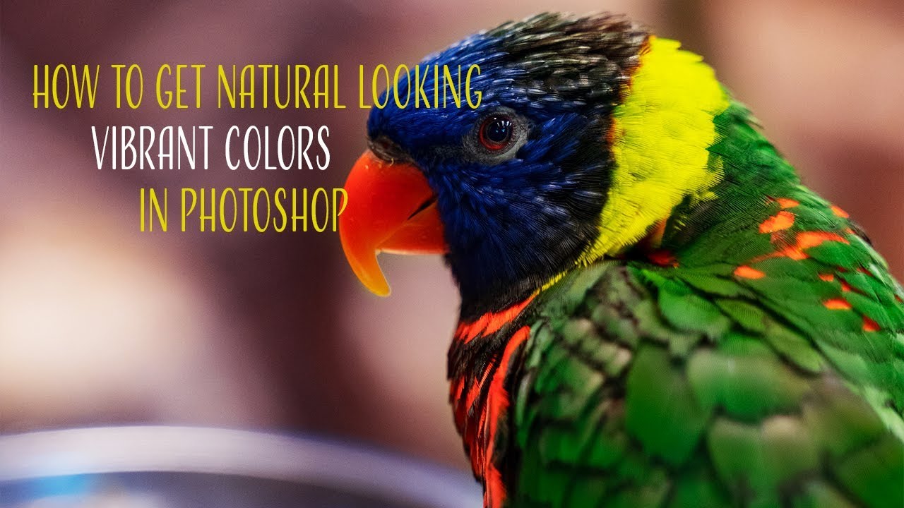 How To get Natural looking Vibrant Colors - YouTube