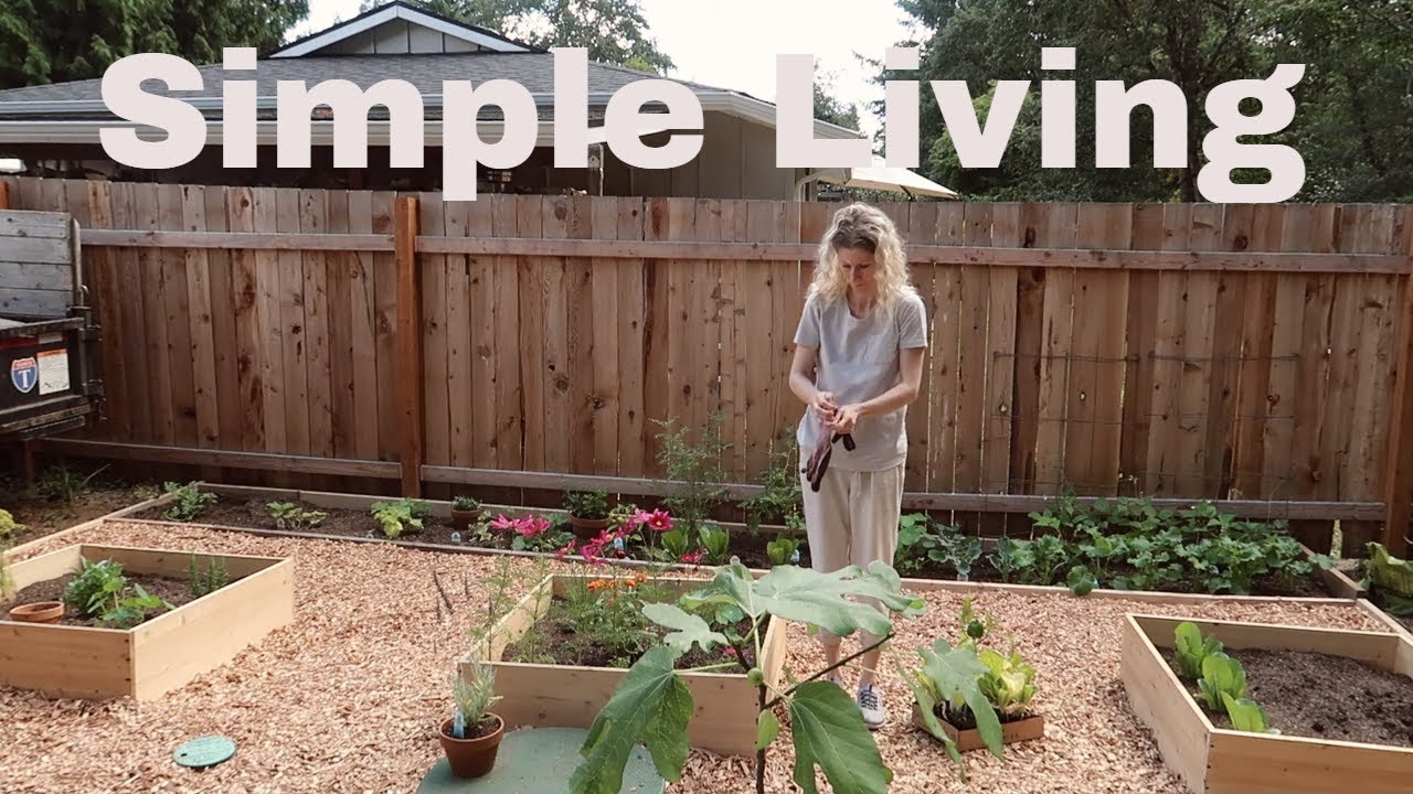 Yard project - Minimalist family family life -Simple living 2019 - YouTube