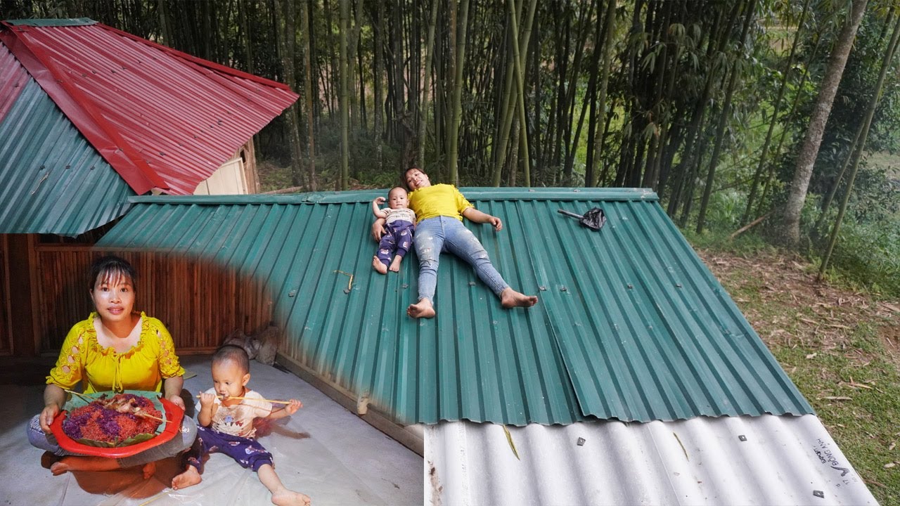 Single Mom build a corrugated iron roof house - Green forest farm, free ...