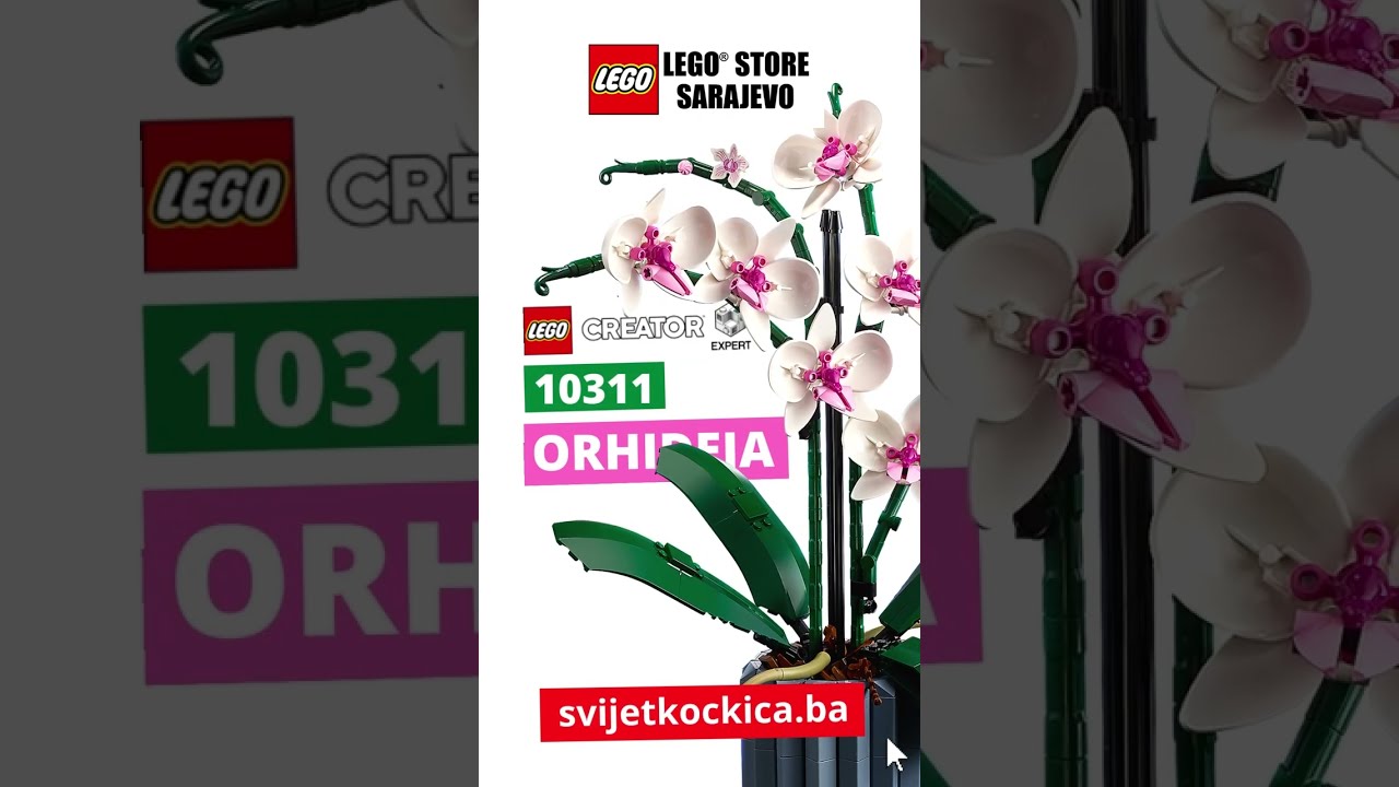 LEGO 10311 Orhideja - YouTube