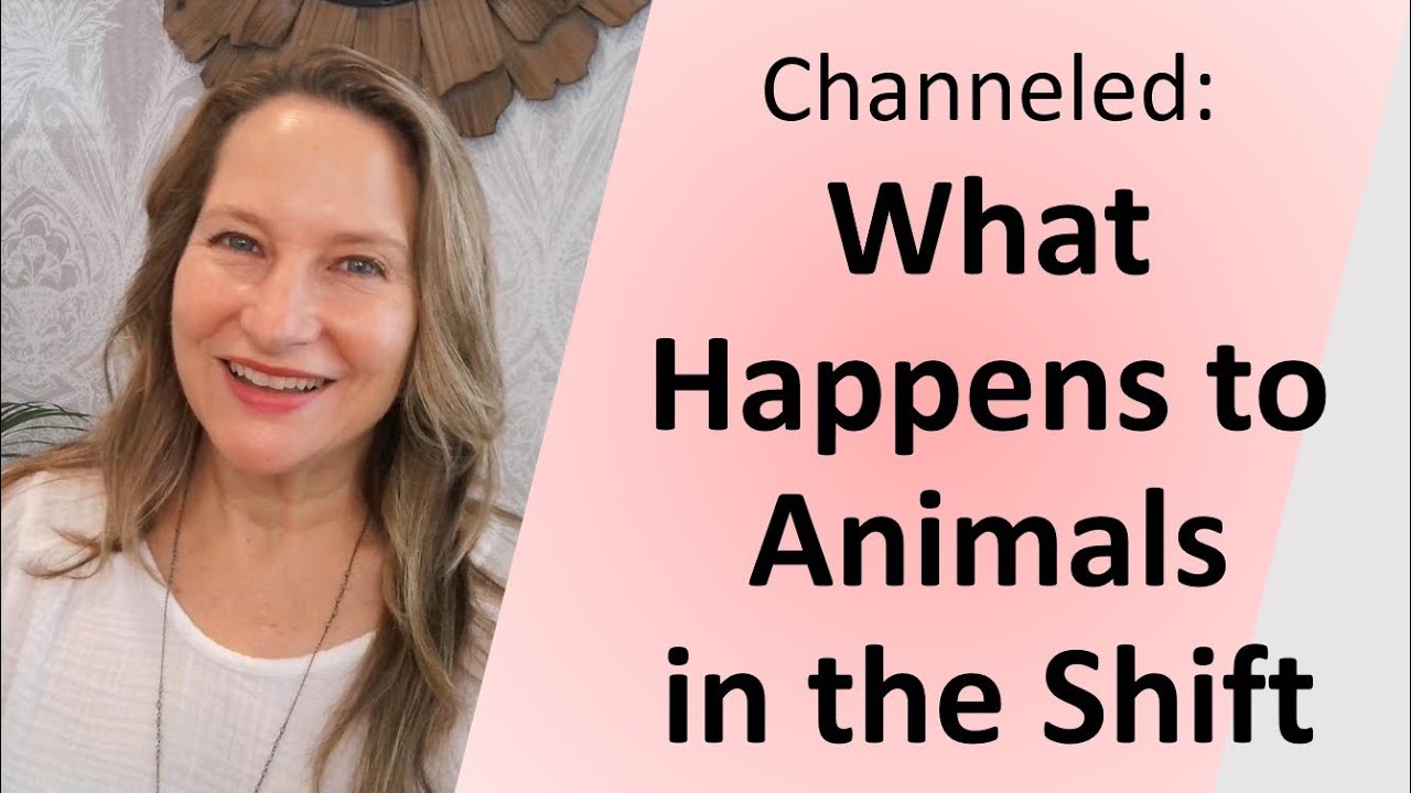 Channeled: What Happens to the Animals in the Shift! - YouTube