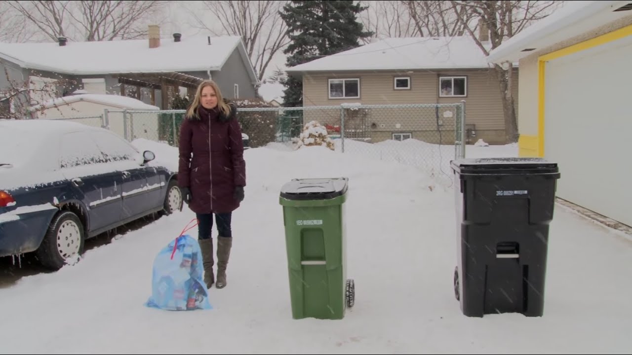Waste Services | WasteWise Moment - Setting Out Carts in the Alley ...