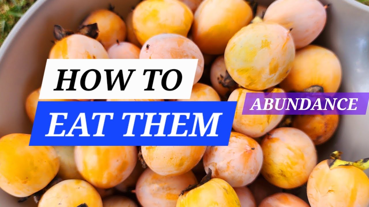 BEST WAY TO EAT RIPE PERSIMMON FRUITS - YouTube