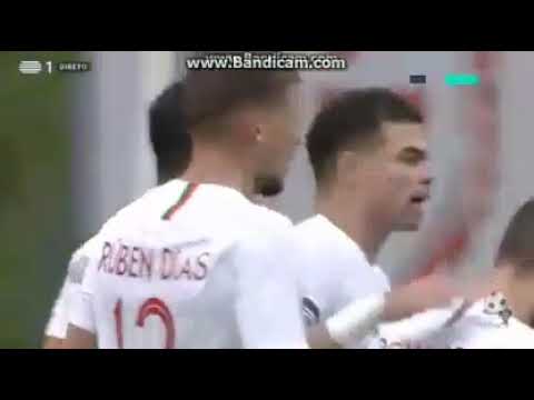 Goals 2 - 1 Portugal vs Tunisia