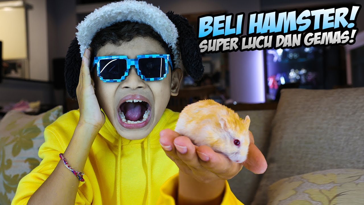 DRAMA BOCIL BELI HAMSTER SUPER IMUT DAN GEMAS!!! MEREKA LANGSUNG MARAHAN WKWKW!!! - YouTube