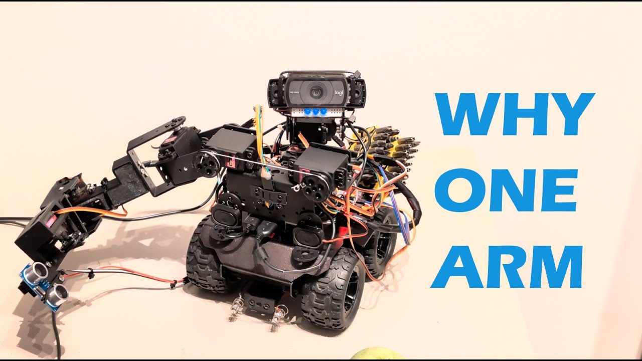 R1's Self-Introduction | Why This Singing Robot Has Only One Arm - YouTube
