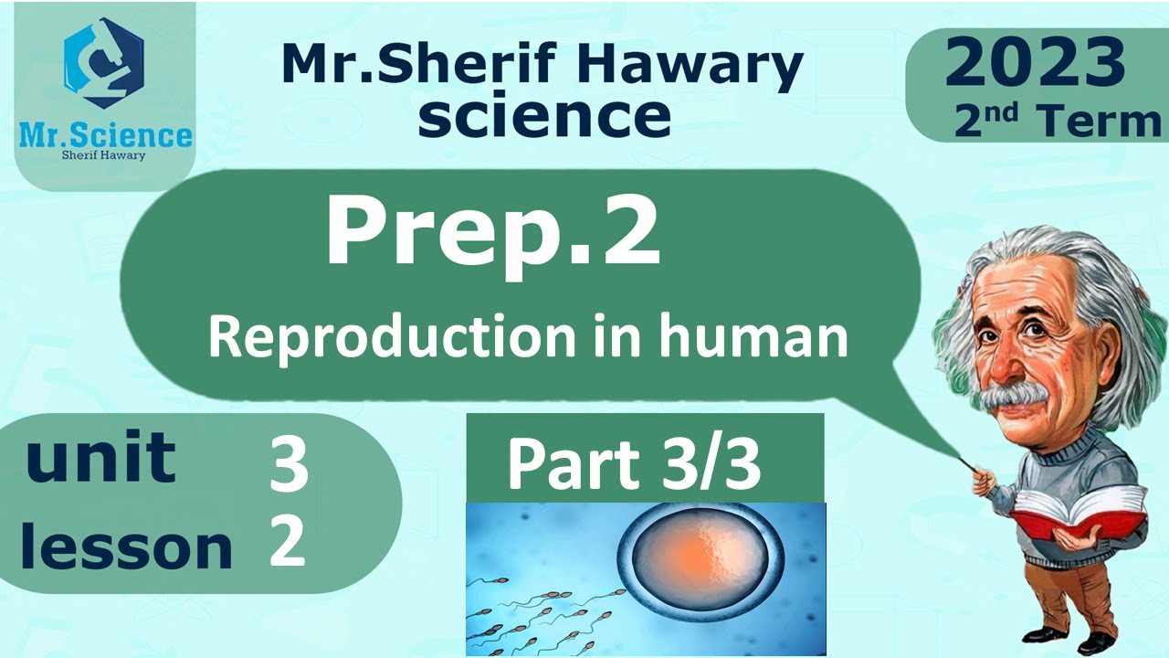 Science |Prep.2| sexual reproduction in human | Unit 3 Lesson2| Part2/2 |2nd - YouTube