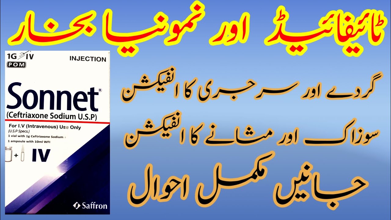 Sonnet Injection 1GM Uses in Urdu Benefits and sideeffects typhoid UTI ...