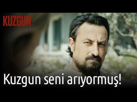 Kuzgun | Kuzgun Seni Arıyormuş