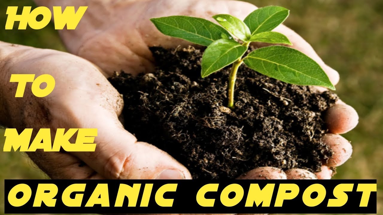 How To Make Organic Compost Kitchen Waste Compost How To Decompose How To Make Organic Compost Kitchen Waste Compost How To Decompose