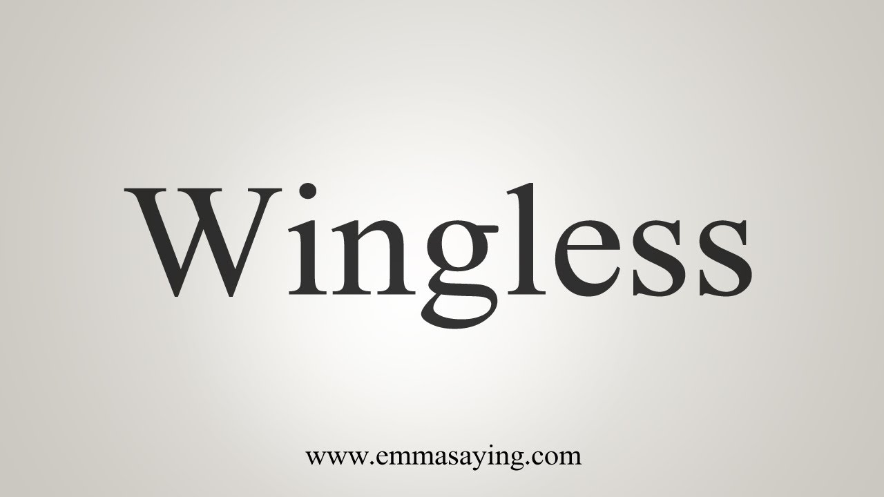 How To Say Wingless YouTube how-to-say-wingless-youtube
