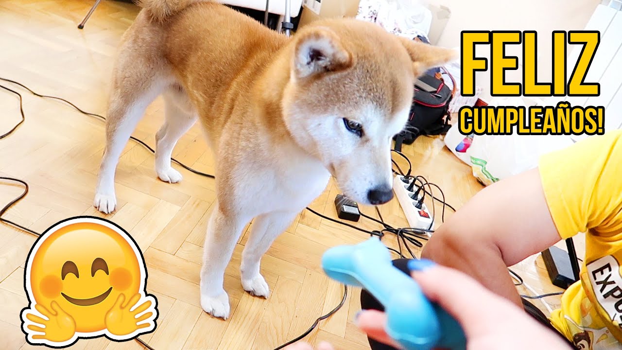 ¡ES EL CUMPLEAÑOS DEL PERRO DOGE! - YouTube