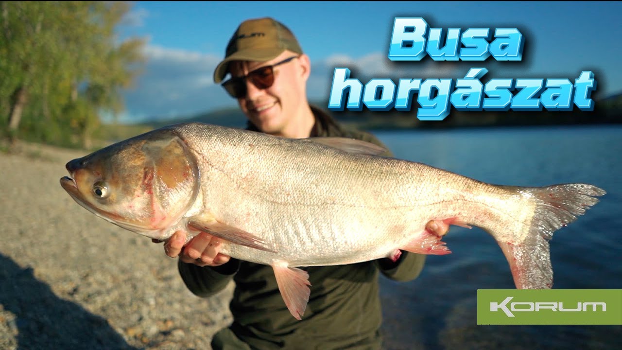 Busa horgászat angolosan - #busa #busahorgaszat #horgaszat # ...