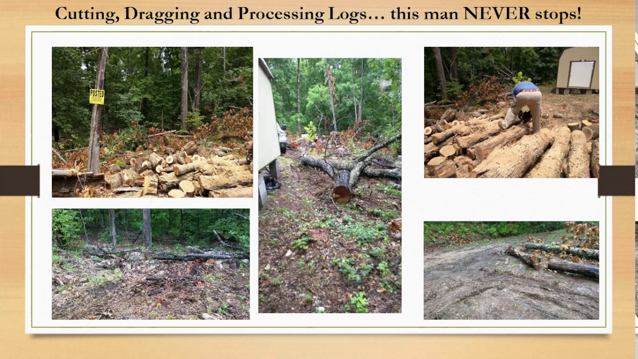 Cutting Trees, Dragging Logs and Start Wiring the Shed_Pt 3 - YouTube