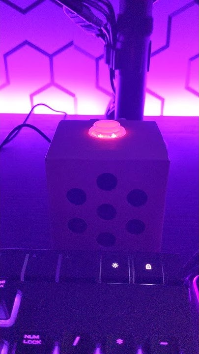 Raspberry Pi: AIY Voice Kit V2 Project Demo (Student work/ CG) - YouTube