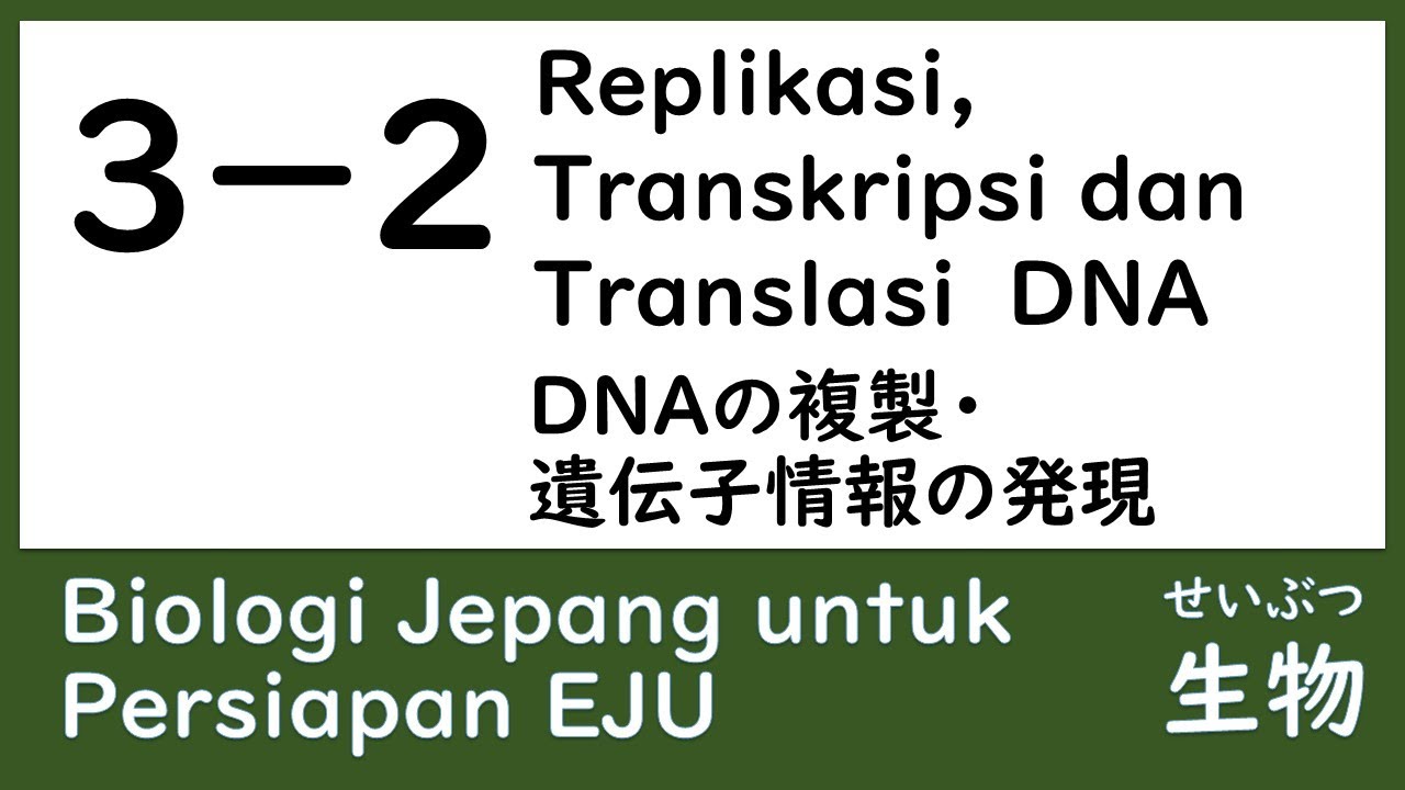 【Biologi SMA JEPANG untuk EJU】 3-2 Replikasi, Transkripsi dan Translasi DNA - YouTube