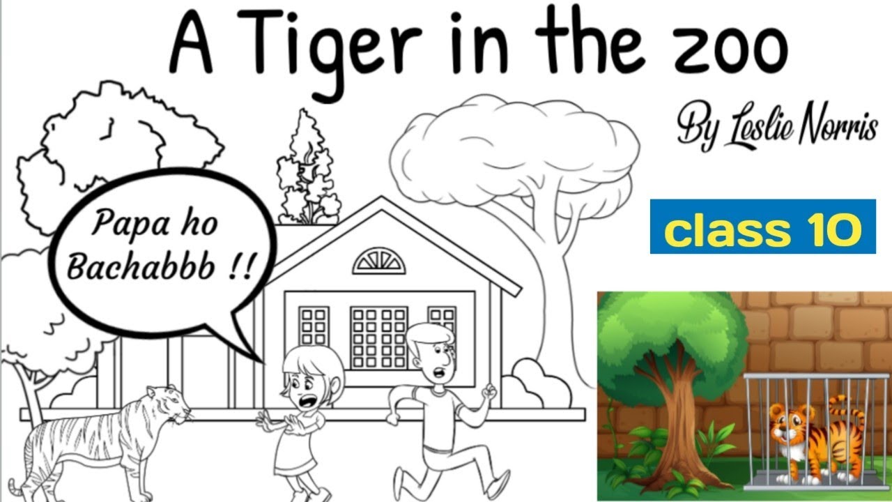 A Tiger In The Zoo Class 10 In Hindi Class 10 English Poem A Tiger In a-tiger-in-the-zoo-class-10-in-hindi-class-10-english-poem-a-tiger-in