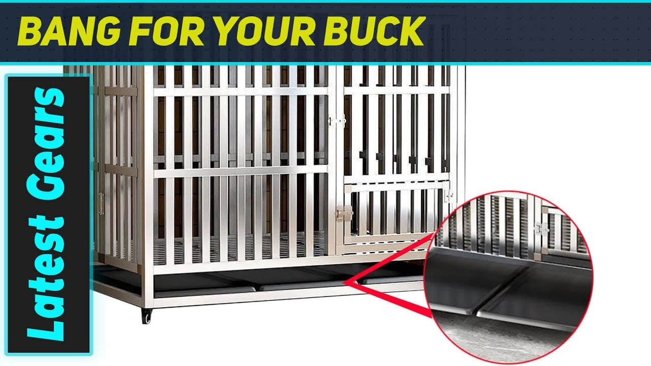 `Home Heavy Duty Dog Cage: Is This The ULTIMATE Dog Fortress? - YouTube