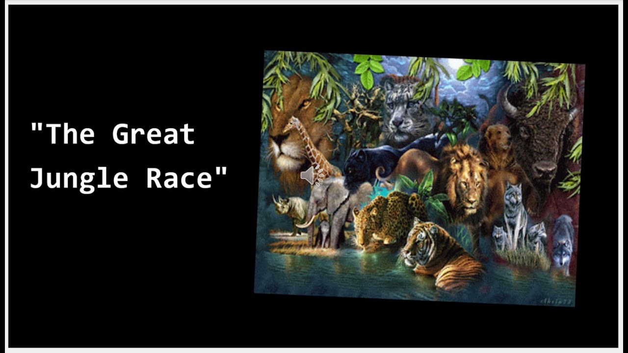 #The Great# Jungle #Race - YouTube