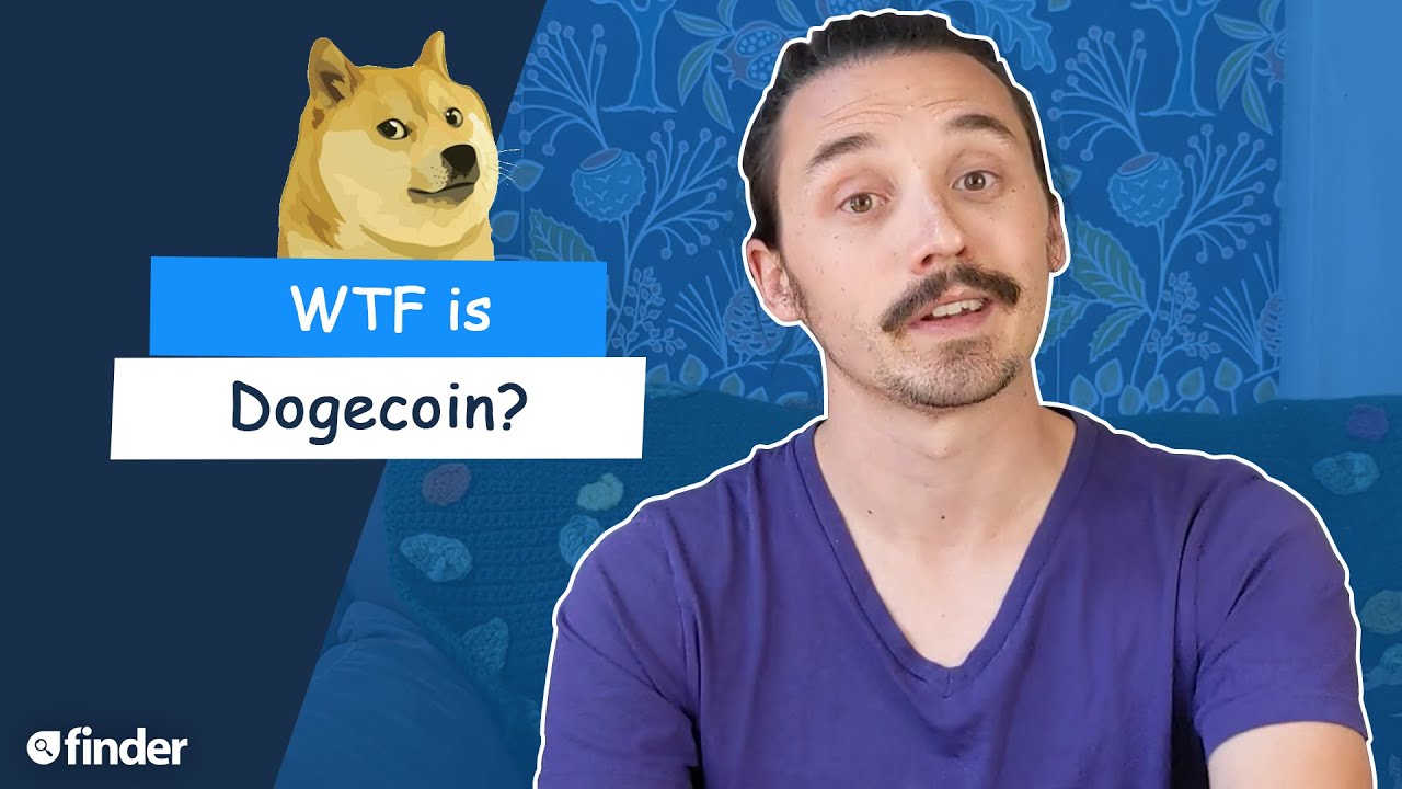Wtf Doge