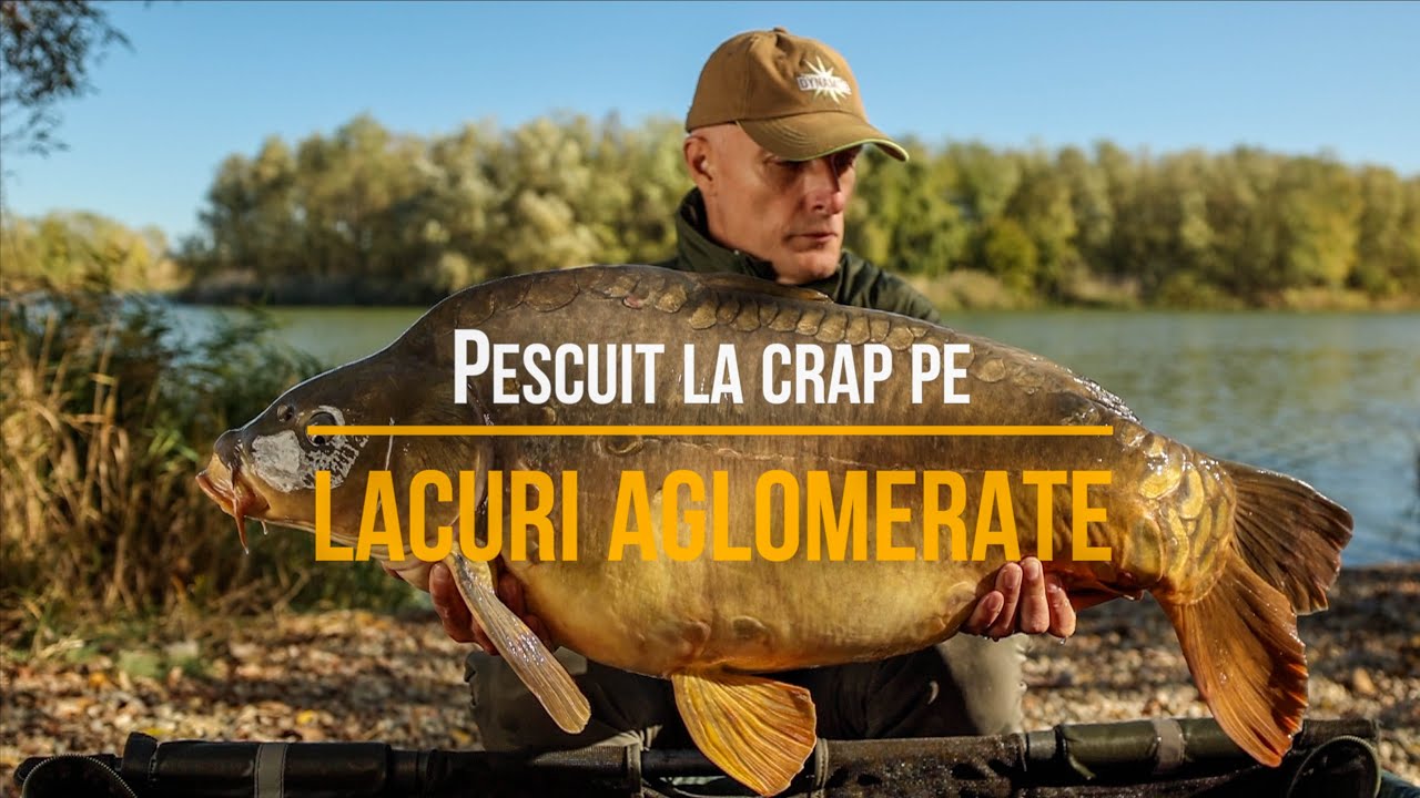 Pescuit la crap pe lacuri aglomerate - YouTube