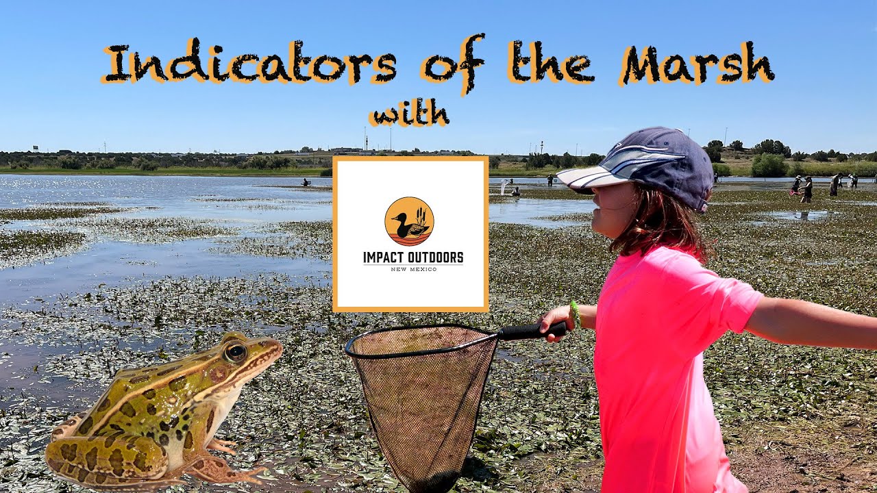 Indicators of the Marsh - YouTube