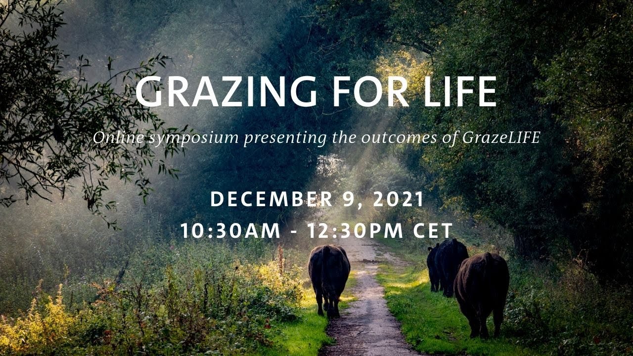 Grazing for Life: Online symposium presenting the outcomes of GrazeLIFE ...
