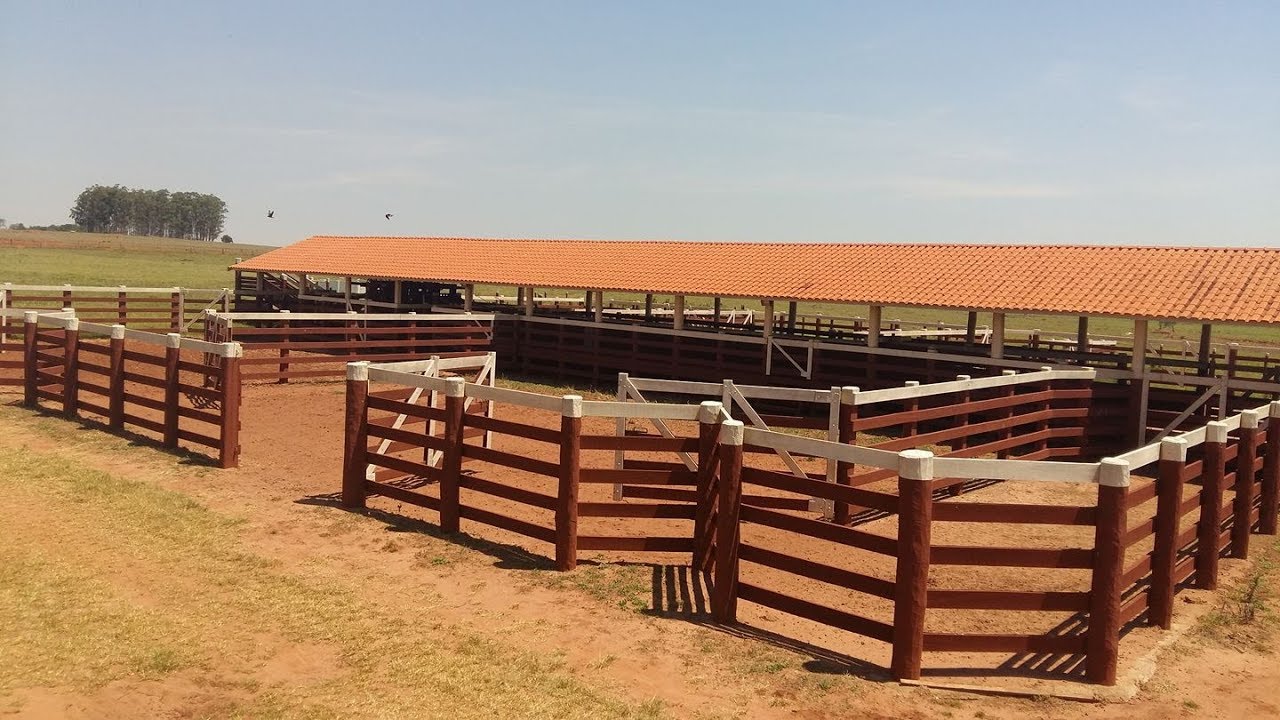 Curral Convencional 3 - YouTube