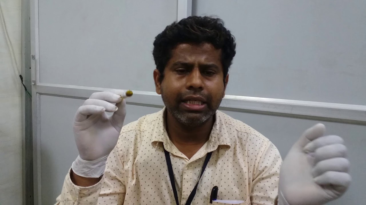 Polybion inj Description|Uses|Side effects|Dose|How to use|Precautions ...